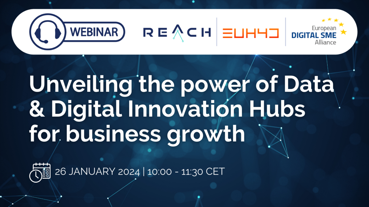 Unveiling the power of Data & Digital Innovation Hubs for business ...